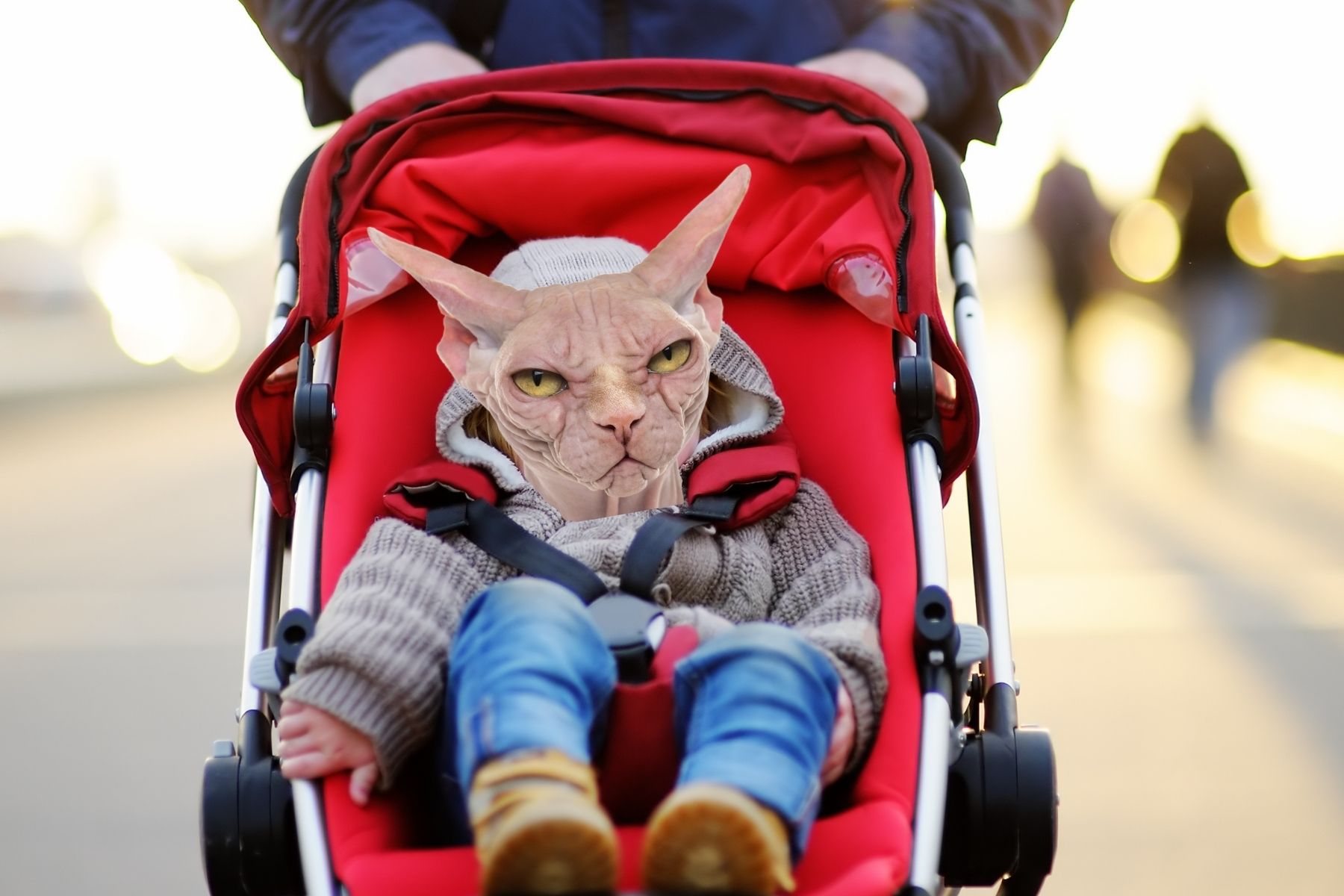 Your Baby Is Ugly: 6 Ways You (Accidentally) Insulted Your Interviewer ...